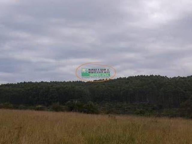 Imoveis na Zona Rural