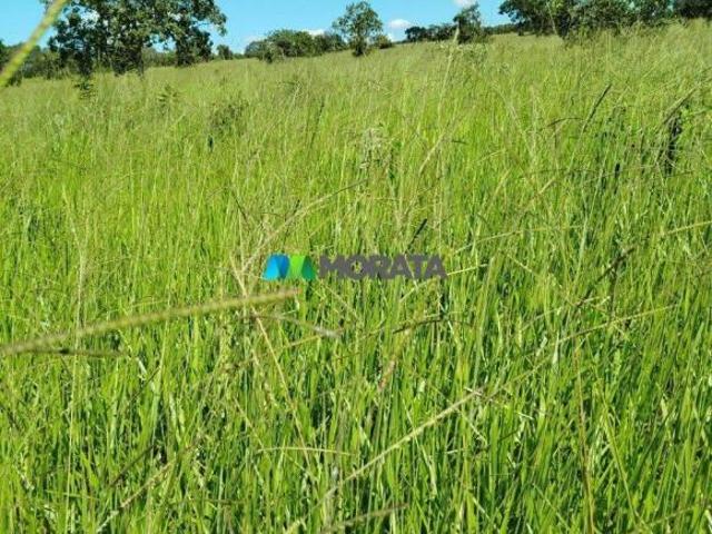 Imoveis na Zona Rural