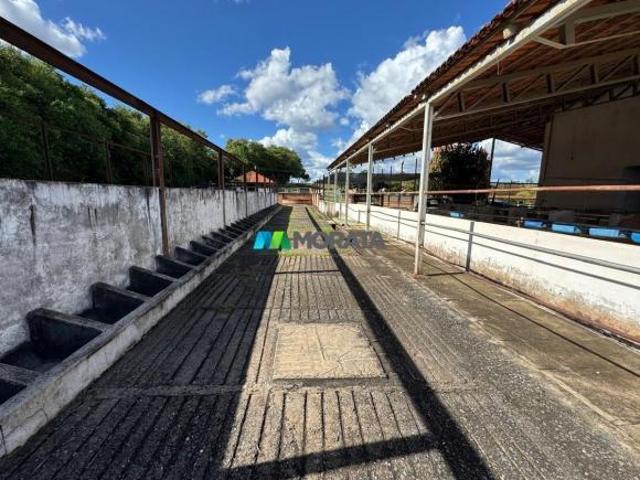 Imoveis na Zona Rural