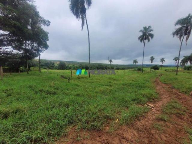 Imoveis na Zona Rural