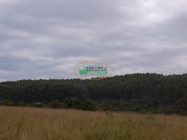 Imoveis na Zona Rural
