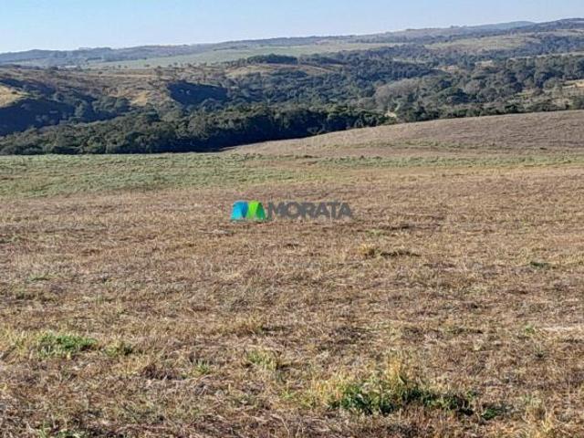 Imoveis na Zona Rural