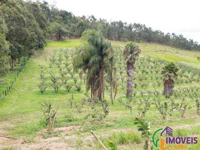 Imoveis no Morro das Pedras