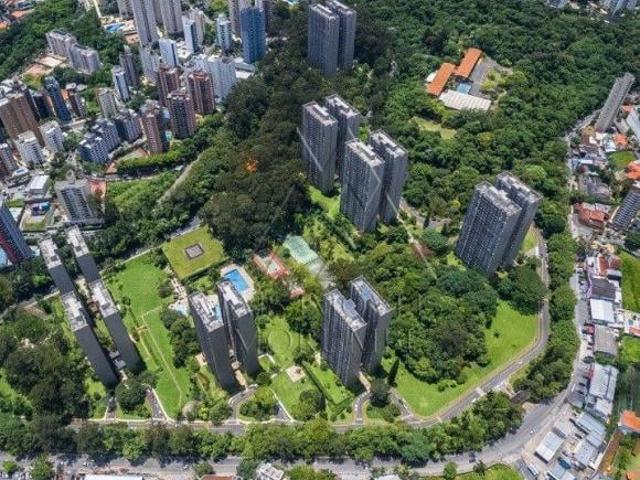Imoveis no Morumbi