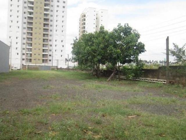 Imoveis no Morumbi