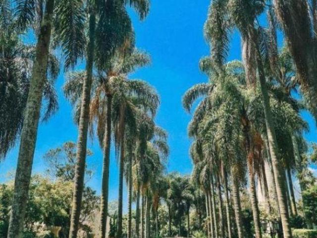Imoveis no Alto da Boa Vista