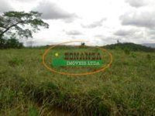 Imoveis no Alto Maranhão