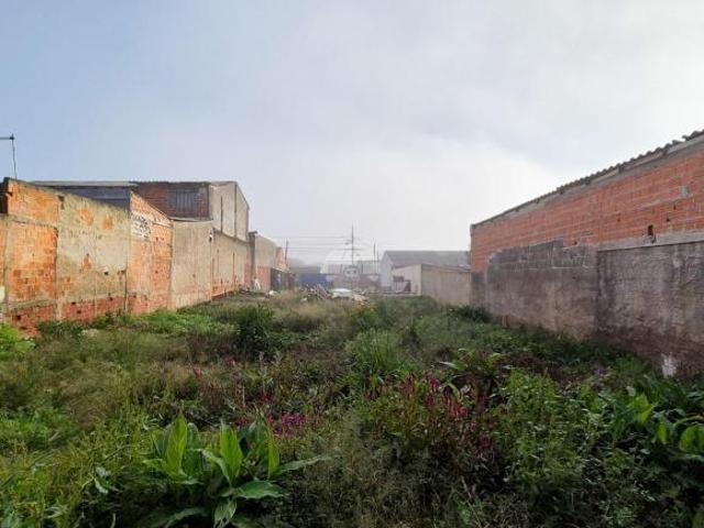 Imoveis no Alto Tarumã