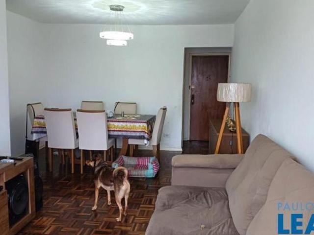Imoveis no Belenzinho