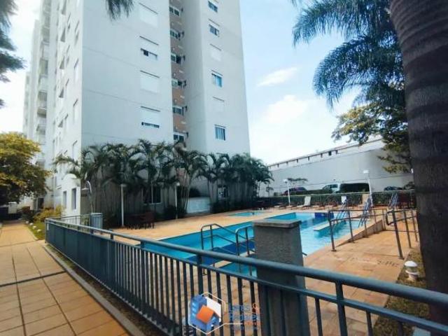 Imoveis no Belenzinho