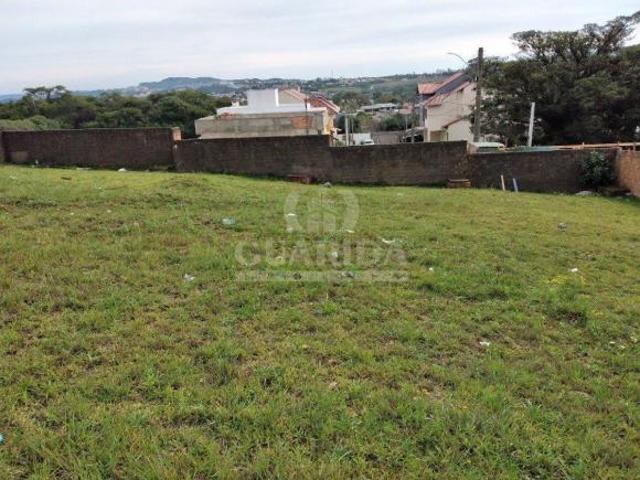 Imoveis No Campo Novo