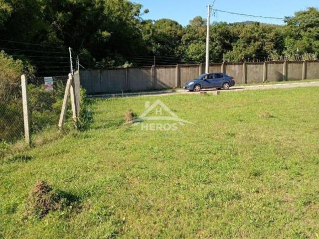 Imoveis No Campo Novo