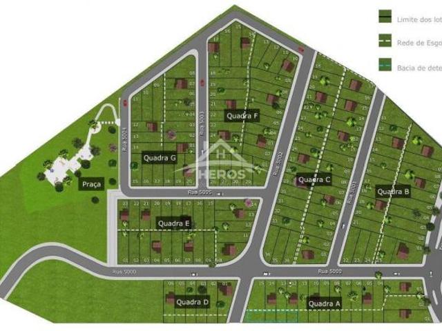 Imoveis No Campo Novo