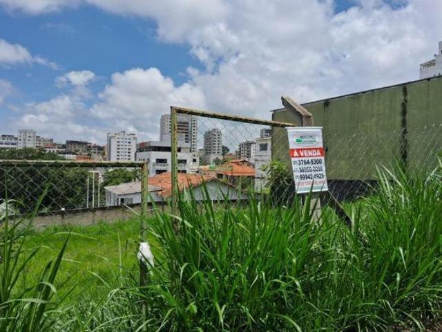 Imoveis no Campo Alegre