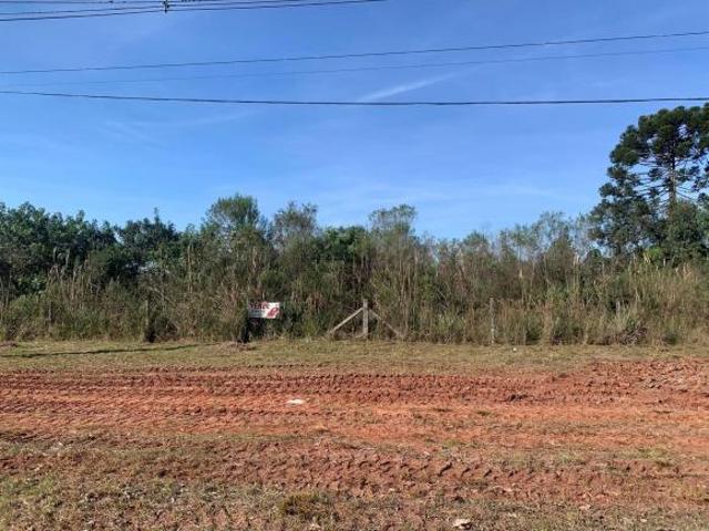 Imoveis no Campo Largo da Roseira
