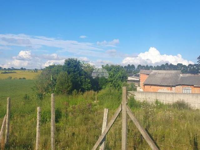 Imoveis no Campo Largo da Roseira