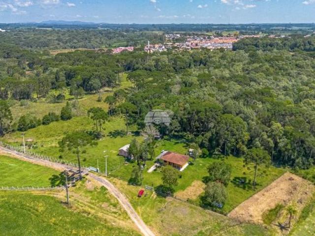 Imoveis no Campo Largo da Roseira