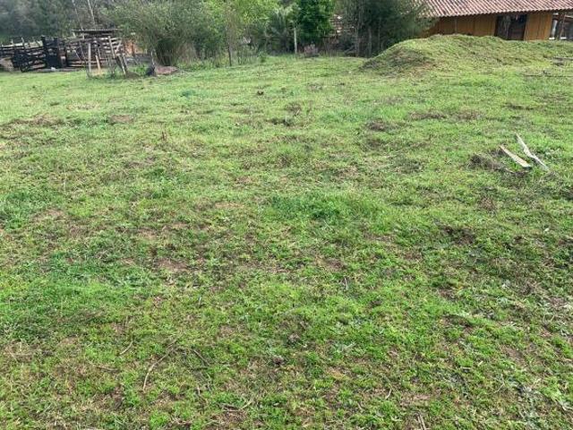 Imoveis no Campo Largo da Roseira