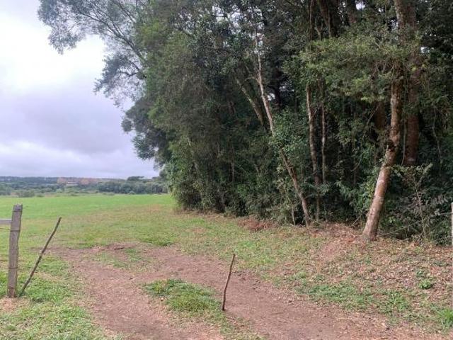 Imoveis no Campo Largo da Roseira