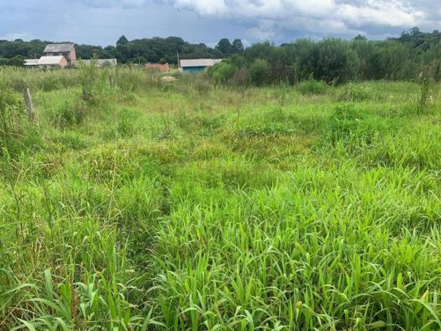 Imoveis no Campo Largo da Roseira