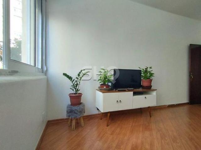 Imoveis no Campos Elíseos