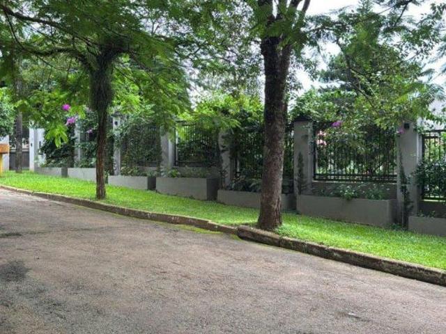Imoveis no Centro