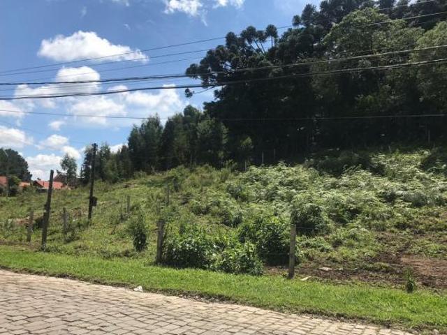 Imoveis no Centro