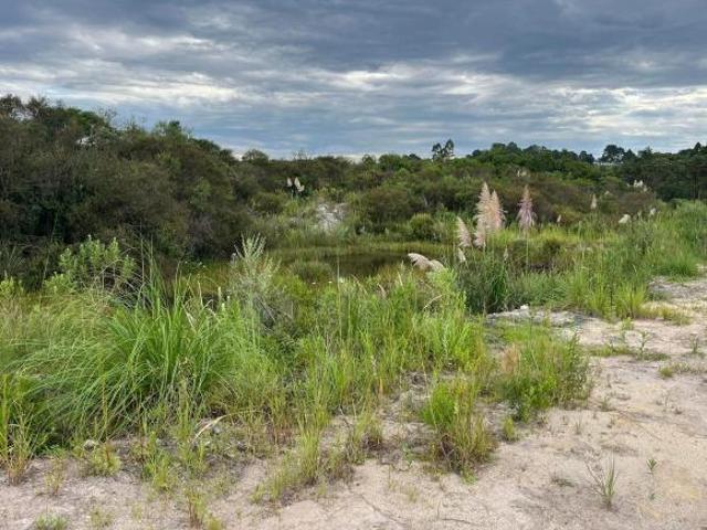 Terreno em Centro, São José dos Pinhais/PR de 20000m² à venda por R$ 565.000,00