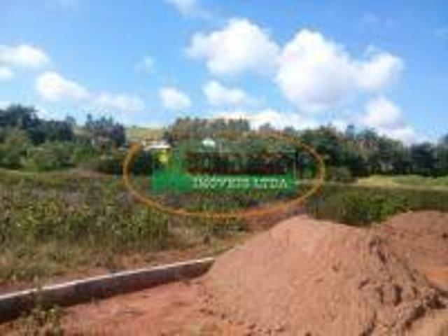 Imoveis no Centro