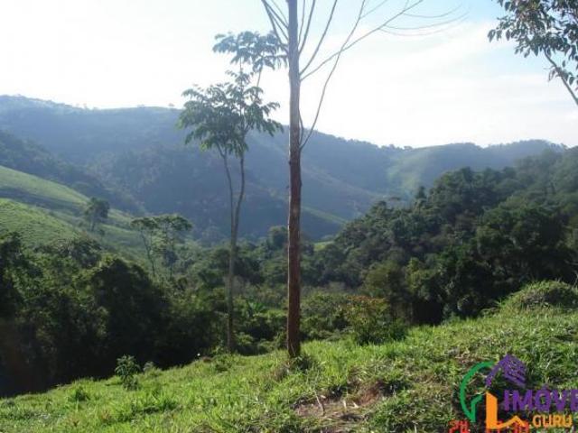 Imoveis no Centro