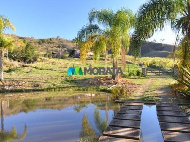 Imoveis no Centro