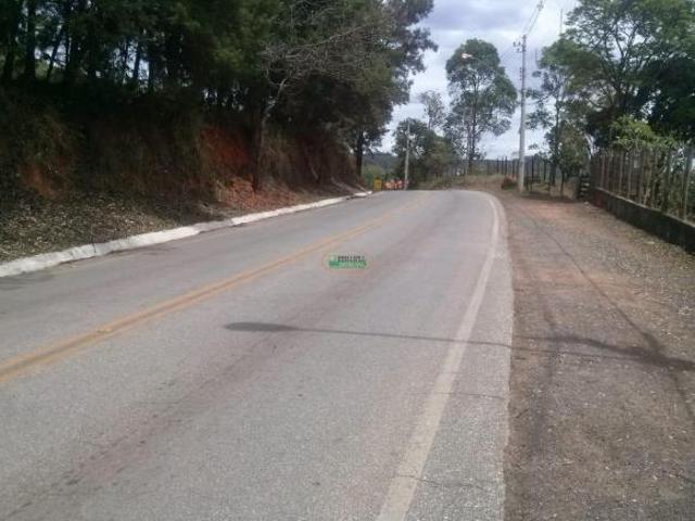 Imoveis no Centro