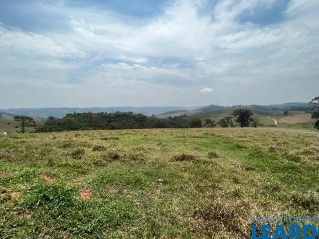 Imoveis no Centro