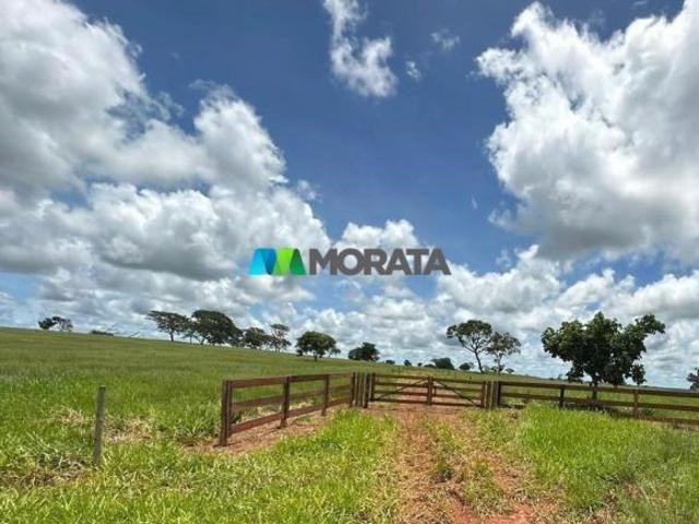 Imoveis no Centro