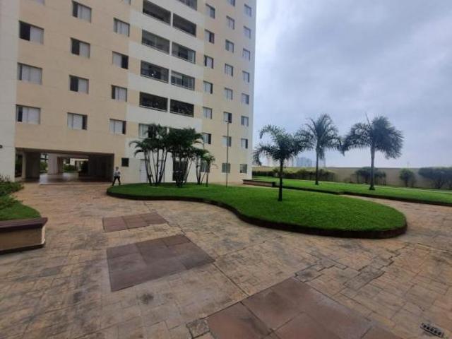 Imoveis no Centro