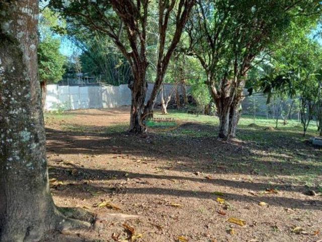 Imoveis no Centro