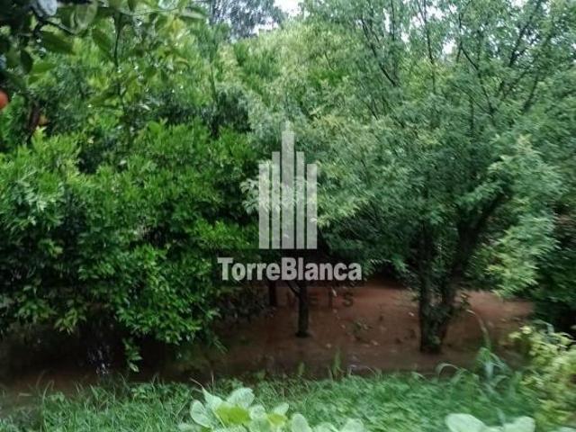 Chácara em Centro, Ponta Grossa/PR de 18000m² 4 quartos à venda por R$ 320.000,00