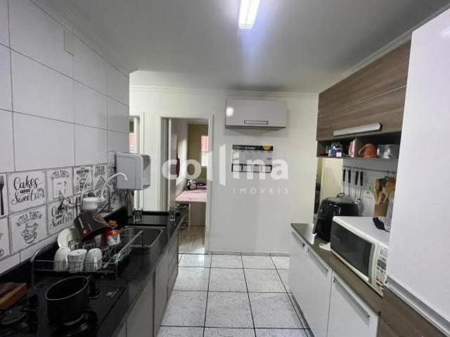 Imoveis no Conjunto Habitacional Presidente Castelo Branco