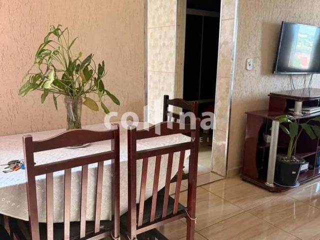 Imoveis no Conjunto Habitacional Presidente Castelo Branco