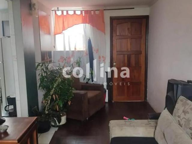 Imoveis no Conjunto Habitacional Presidente Castelo Branco
