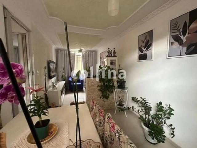 Imoveis no Conjunto Habitacional Presidente Castelo Branco