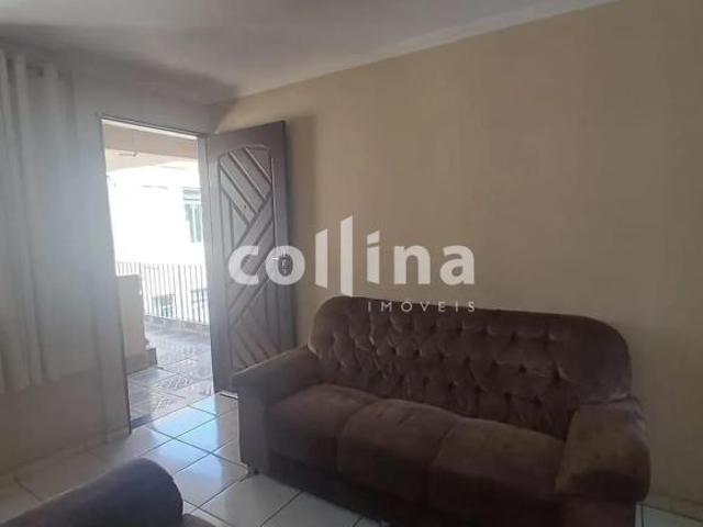 Imoveis no Conjunto Habitacional Presidente Castelo Branco