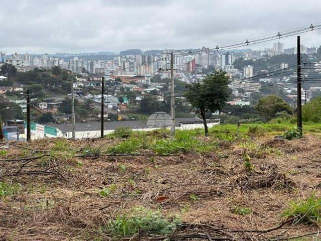 Imoveis no Cristo Rei