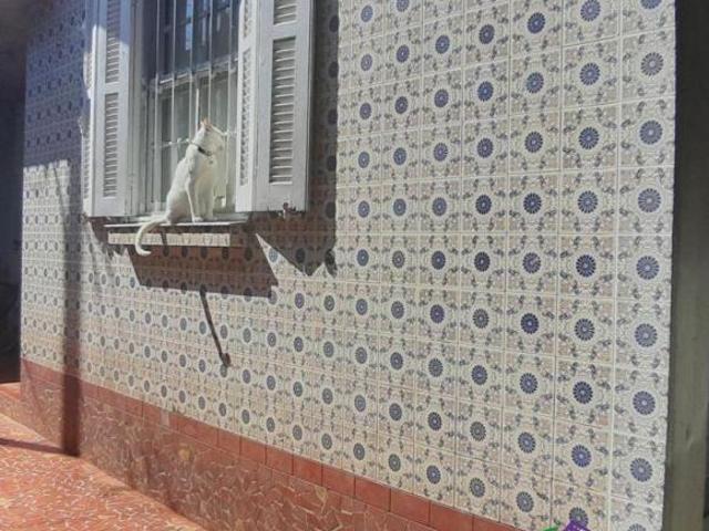 Imoveis no Jabaquara