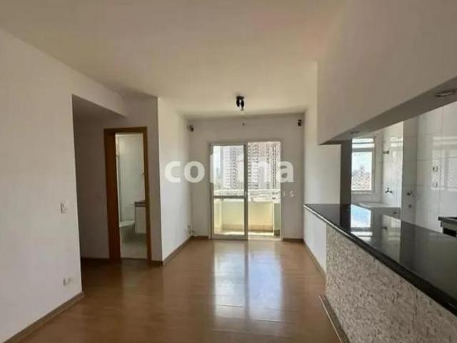 Imoveis no Jardim Tupanci