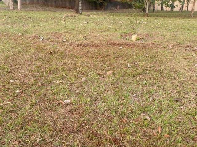 Imoveis no Jardim União