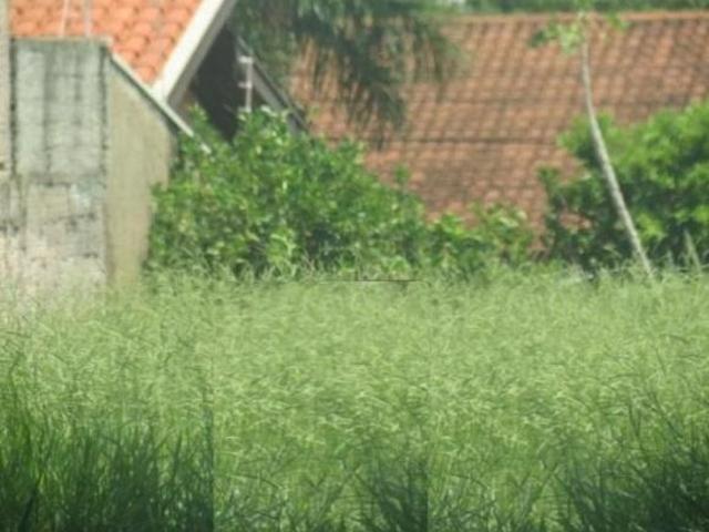 Imoveis no Jardim Ypê