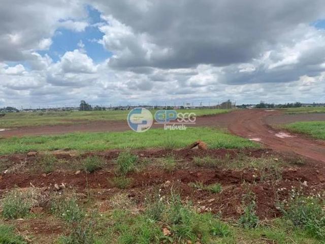 Imoveis no Jardim Albatroz