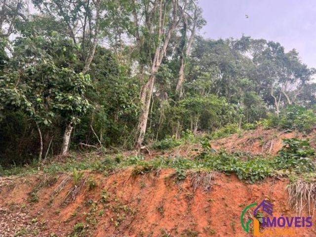Imoveis no Jardim Aracy