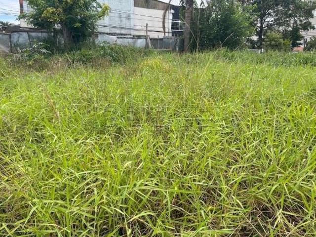 Imoveis no Jardim Botânico